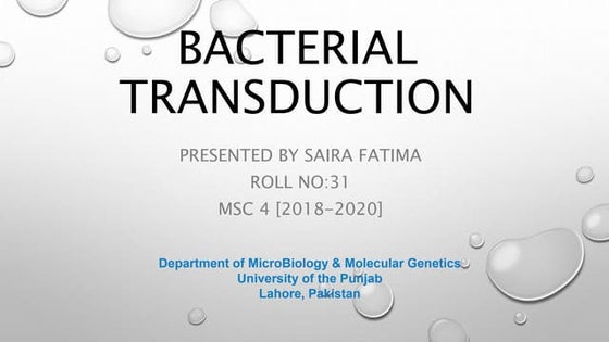 Bacterial Transduction for B.Sc. SEM-3 Students | PDF