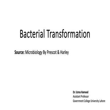 Bacterial Transformation.pdf