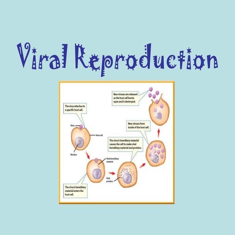 Bacterial & Viral Reproduction | PPT
