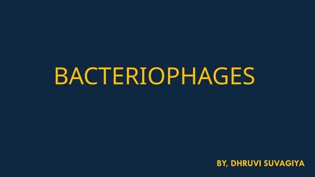 lytic and lysogenic cycle in the bacteriophage. | PPTX