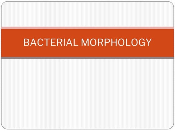 Structure of bacterial cell | PPTX