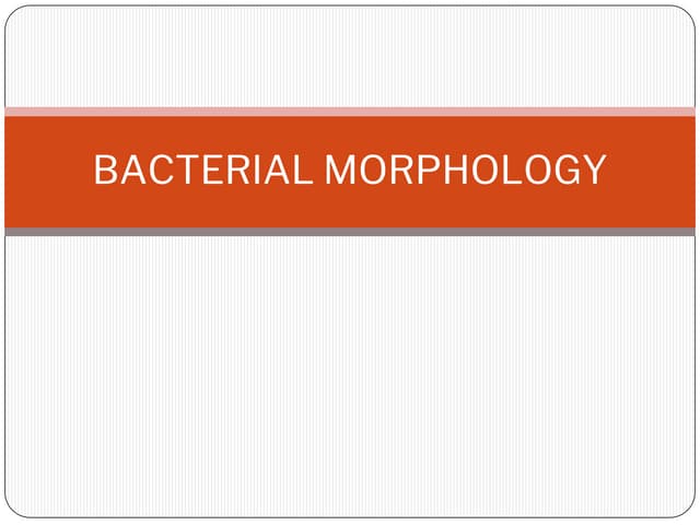 Structure of bacterial cell | PPTX