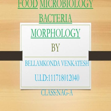 Bacteria morphology | PPTX