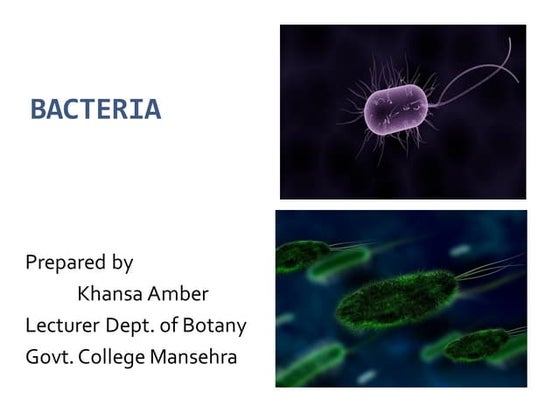 Colony characteristics of bacteria | PPT