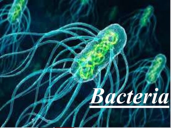 Colony characteristics of bacteria | PPTX | Chemistry | Science