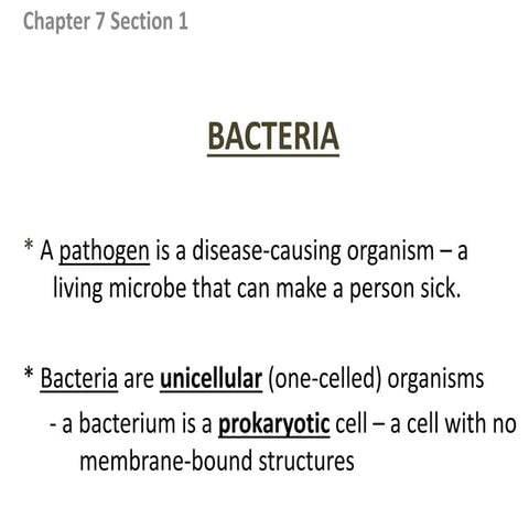 Bacteria science#6(showas5) | PPTX