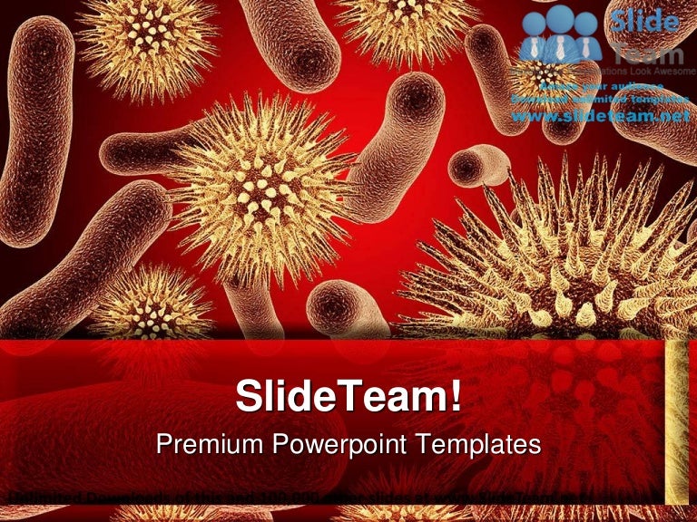 bacteria slideshare