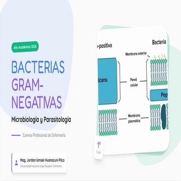 Comprehensive Overview of Gram-Negative Bacteria: Structure, Clinical ...