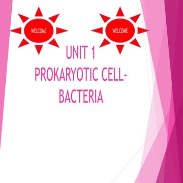 Bacteria shape | PPT