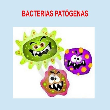 Bacterias patógenas | ODP