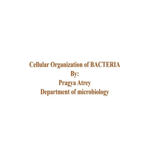 Bacteria Structure Pptx Eubacteria From Microbiology Pptx