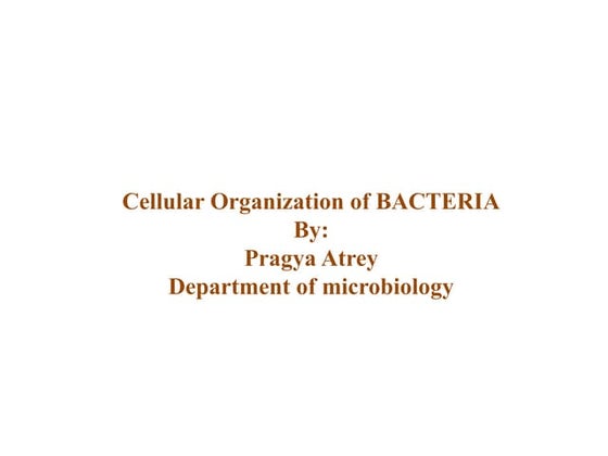 Ultra-Structure of Bacteria for B.Sc. Biotech/Botany Sem-1 & 3 | PDF