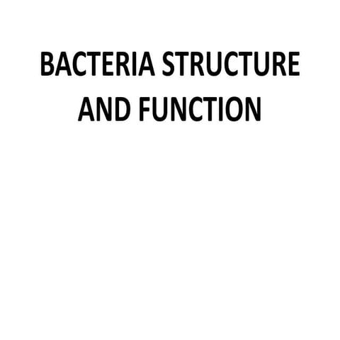 BACTERIA STRUCTURE AND FUNCTION [Autosaved].pptx