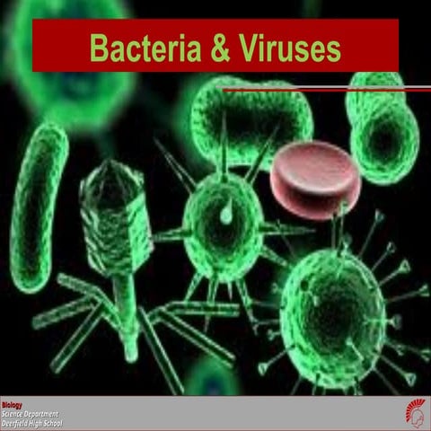 bacteria and viruses structure and functions.ppt