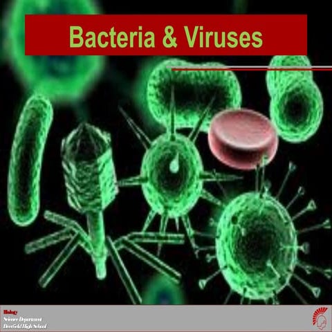 Bacteria & viruses | PPT