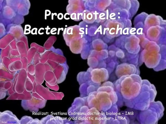 Gaudeamus igitur | PDF