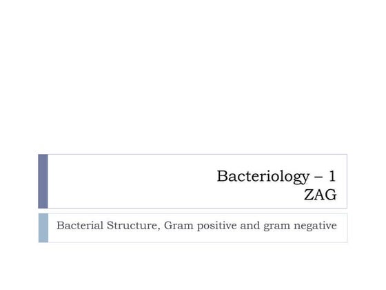 Colony characteristics of bacteria | PPTX | Chemistry | Science