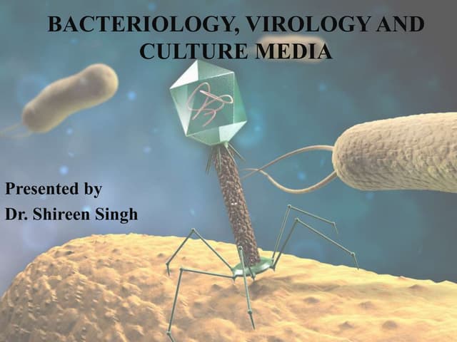 Morphology & Physiology of Bacteria | PPTX | Biological Sciences | Science