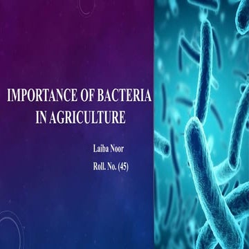 Importance of bacteria in Agriculture | PPTX