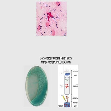 ISABR handover .pdf
