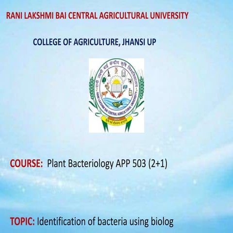 Bacteriology ppt | PPT