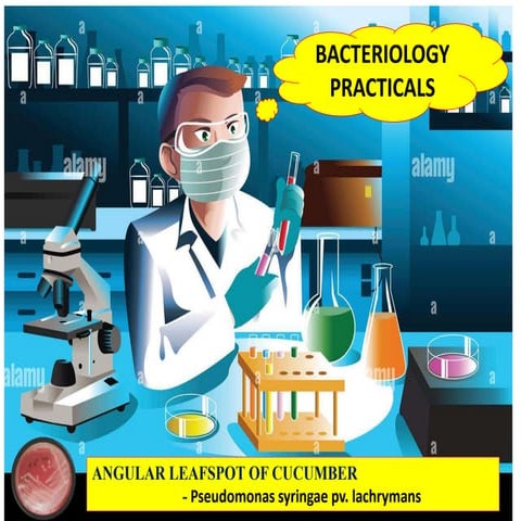 BACTERIOLOGY PRACTICALS PPT.pptx