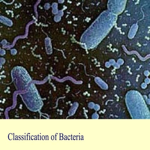 Bacteriology Part 1 for undergradu.pptx