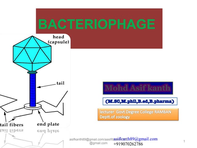 Bacteriophage vector | PPTX