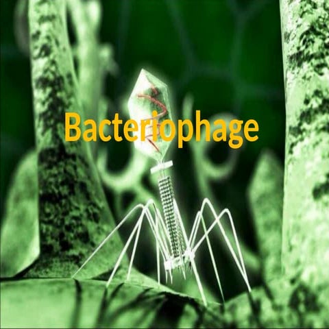 bacteriophage characteristics - a short notes | PPTX