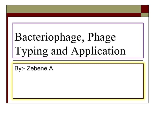 lytic and lysogenic cycle in the bacteriophage. | PPTX