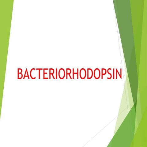 Bacteriorhodopsin.pdf