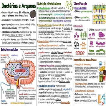 Resumão sobre as Bactérias e Arqueas.pdf