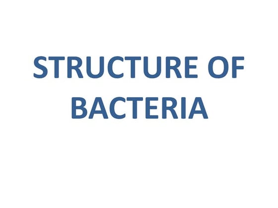 Introduction to bacteria, structure and function | PPT