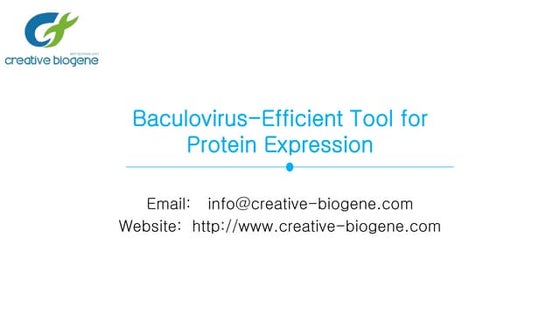 Baculovirus expression vector system | PPTX | Biological Sciences | Science