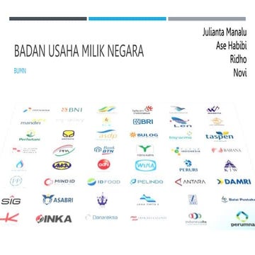 Badan usaha milik negara.pptx