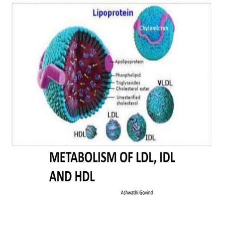 metabolism of LDL, IDL and HDL | PPTX