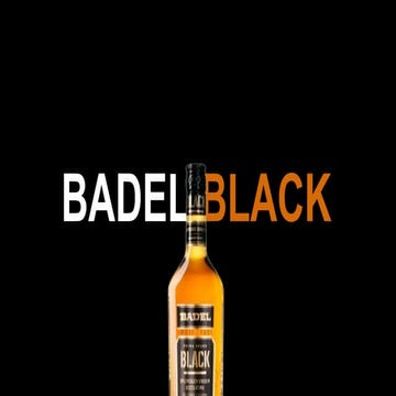 Badel Black 1862 - Digital Marketing Strategy.pdf