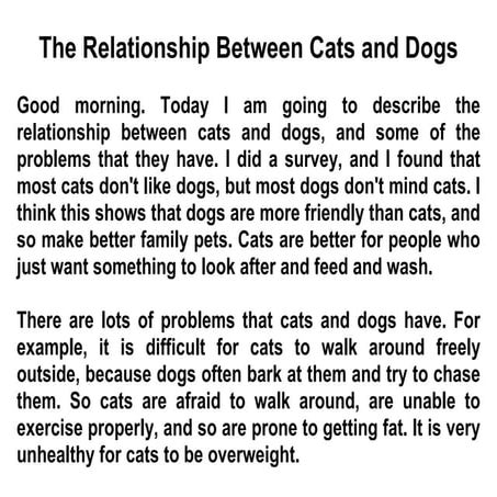 Bad Example Presentation | PDF