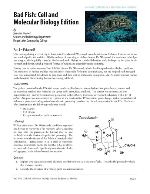 The Poisonous Puffer Fish - Chemistry | PPT