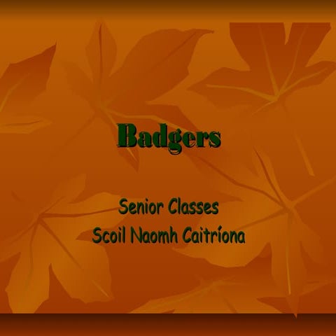 Badgers | PPT