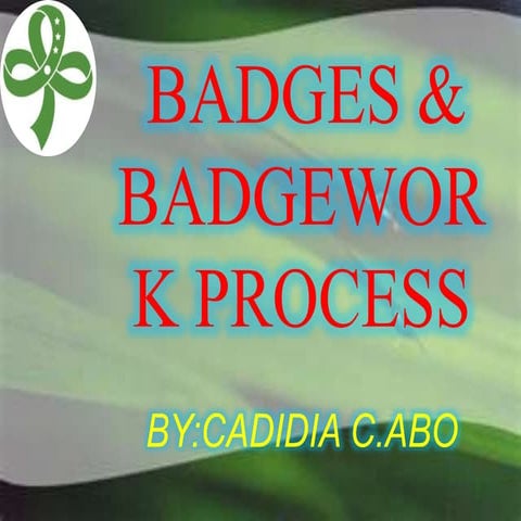 Power point presentation Badges-Badgework-Process.pptx