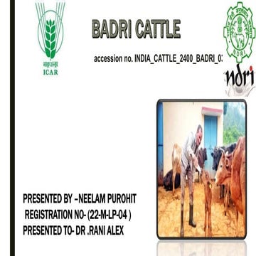 BADRI CATTLE.pptx