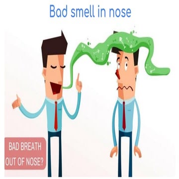 Sense of smell(nose.ppt grade 3) | PPT