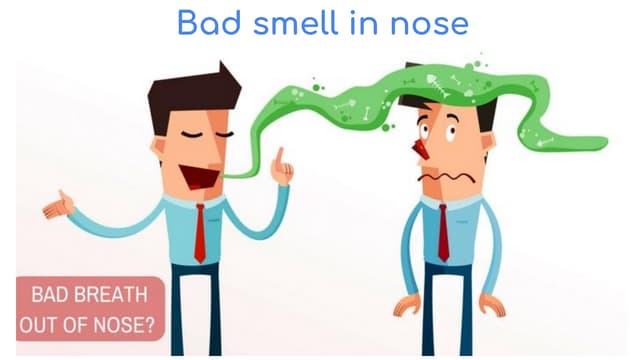 Sense of smell(nose.ppt grade 3) | PPT