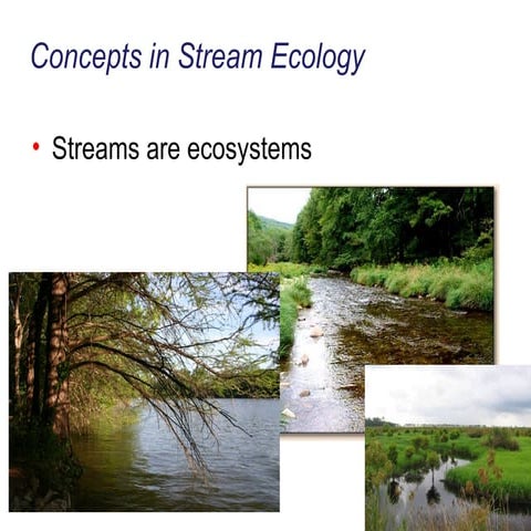 Bae 495r Stream Ecology | PPT