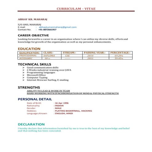RESUME | PDF