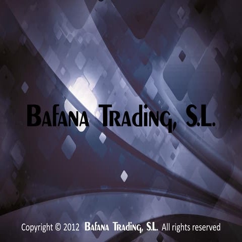 Bafana Trading, S.L. | PDF