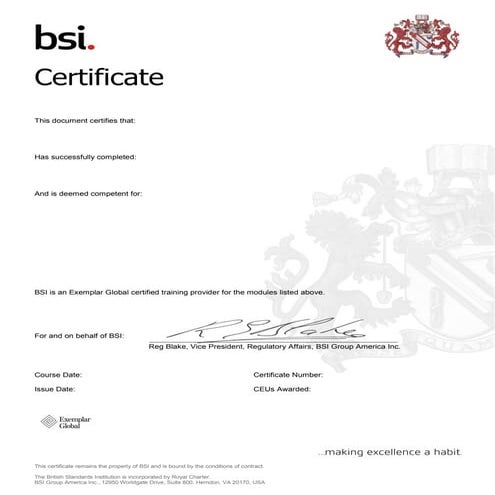 BSI 13485 Certificate8499762-155534 | PDF