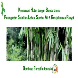 Konservasi Hutan dengan Bambu untuk Oeningkatan Stabilitas Lahan, Sumber air dan Kesejahteraan ...