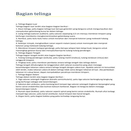 Bagian bagian telinga | DOC